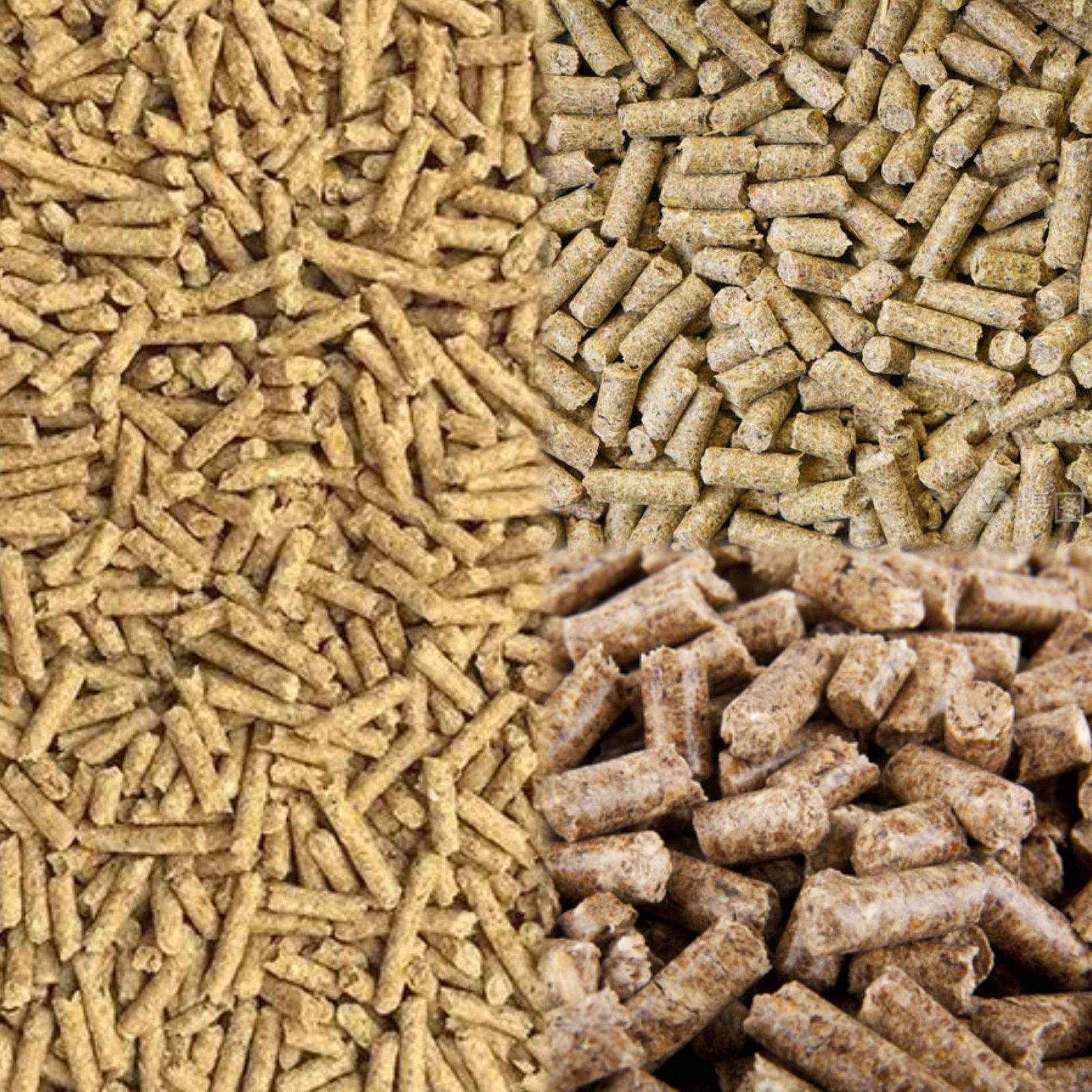 Feed Raw Material Cleaning Processes And Measures - Xinxiang Hexie ...